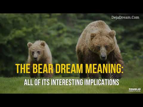 The Bear Dream Meaning: All Of Its Interesting Implications