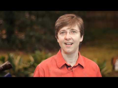 Growing Patterns book trailer.