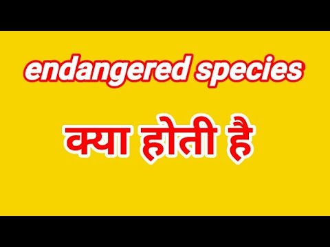 endangered species|| endangered species upsc||endangered species mpsc||endangered species in hindi