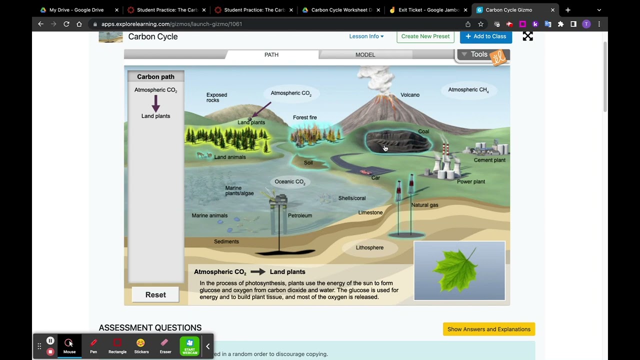 Carbon Cycle Gizmo Activity B Help
