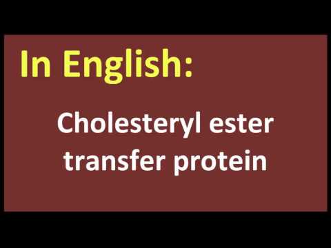 Cholesteryl ester transfer protein spanish MEANING