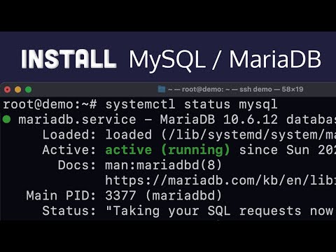 Install and configure MySQL / MariaDB (Ubuntu)