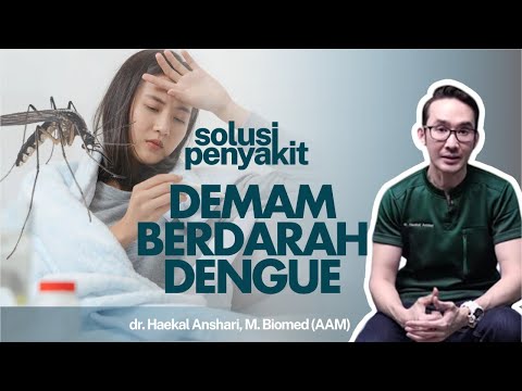 Waspada Demam Berdarah Dengue, Ini Gejala dan Pengobatannya | Kata Dokter