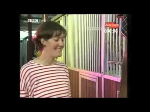 Life Processes BBC19LS03