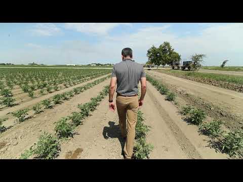 Bowles Farming Testimonial