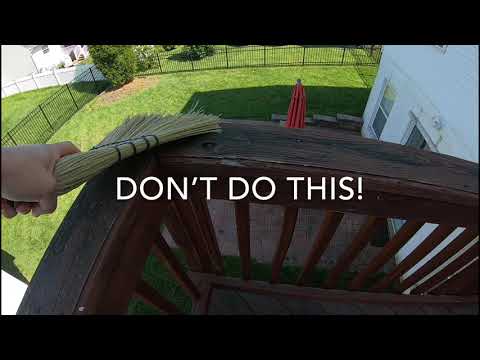 Demo: How to kill the Spotted Lanternfly