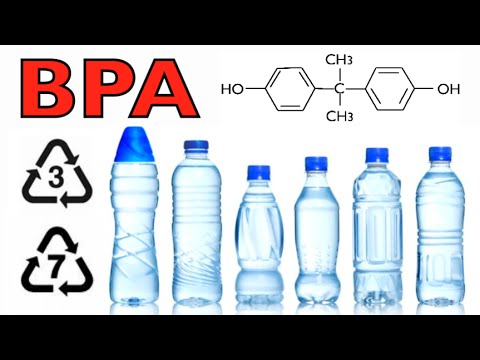 Is BPA Safe? | The Facts