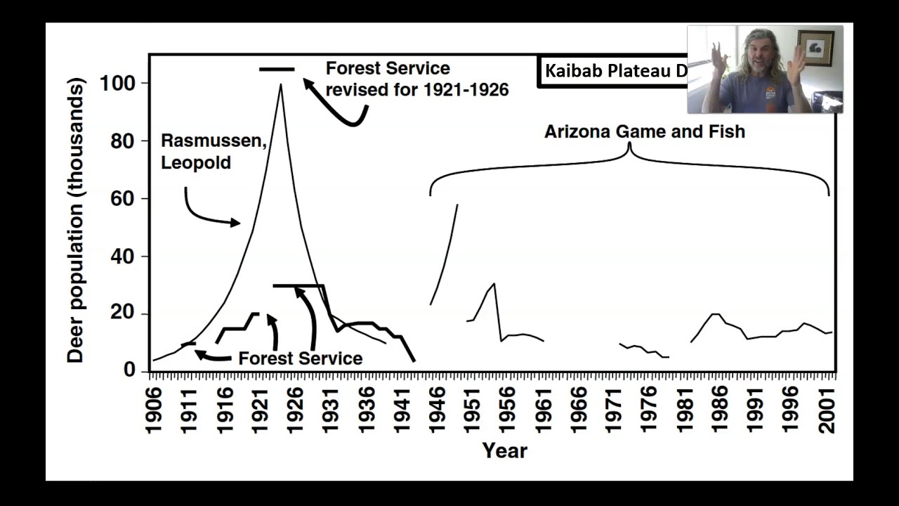 6.3 - Population dynamics examples -- predator-prey dynamics