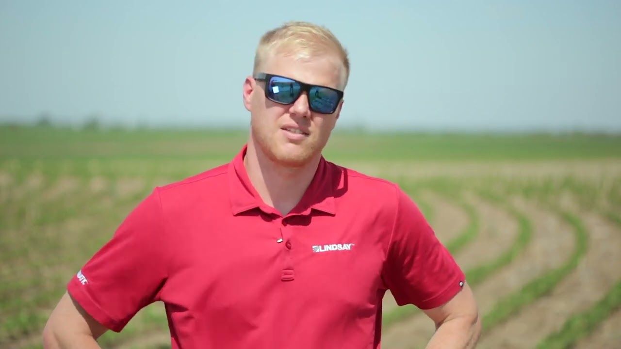 What is the TAPS Program?