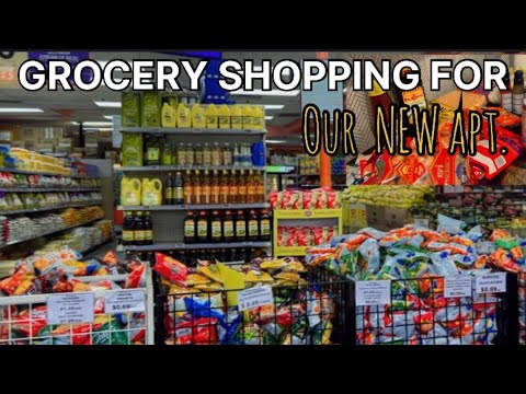 GROCERY SHOPPING *for our new apartment* from INDIA BAZAAR & WALMART 🛍️ 🛒 Indian vlogger in USA🇺🇸