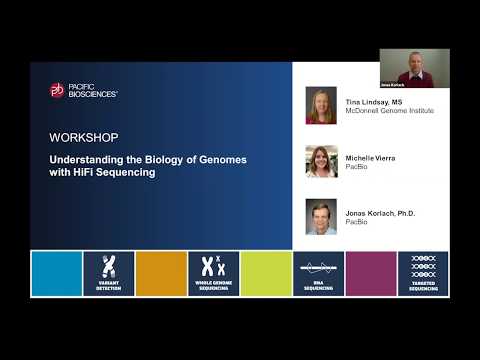 Understanding the Biology of Genomes with HiFi Sequencing