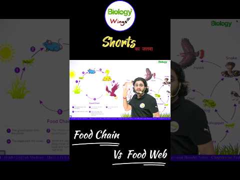 Food Chain Vs Food Web #biologywings #biologyclass #biologywingsshorts