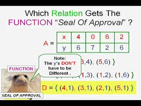 Functions In Mathematics