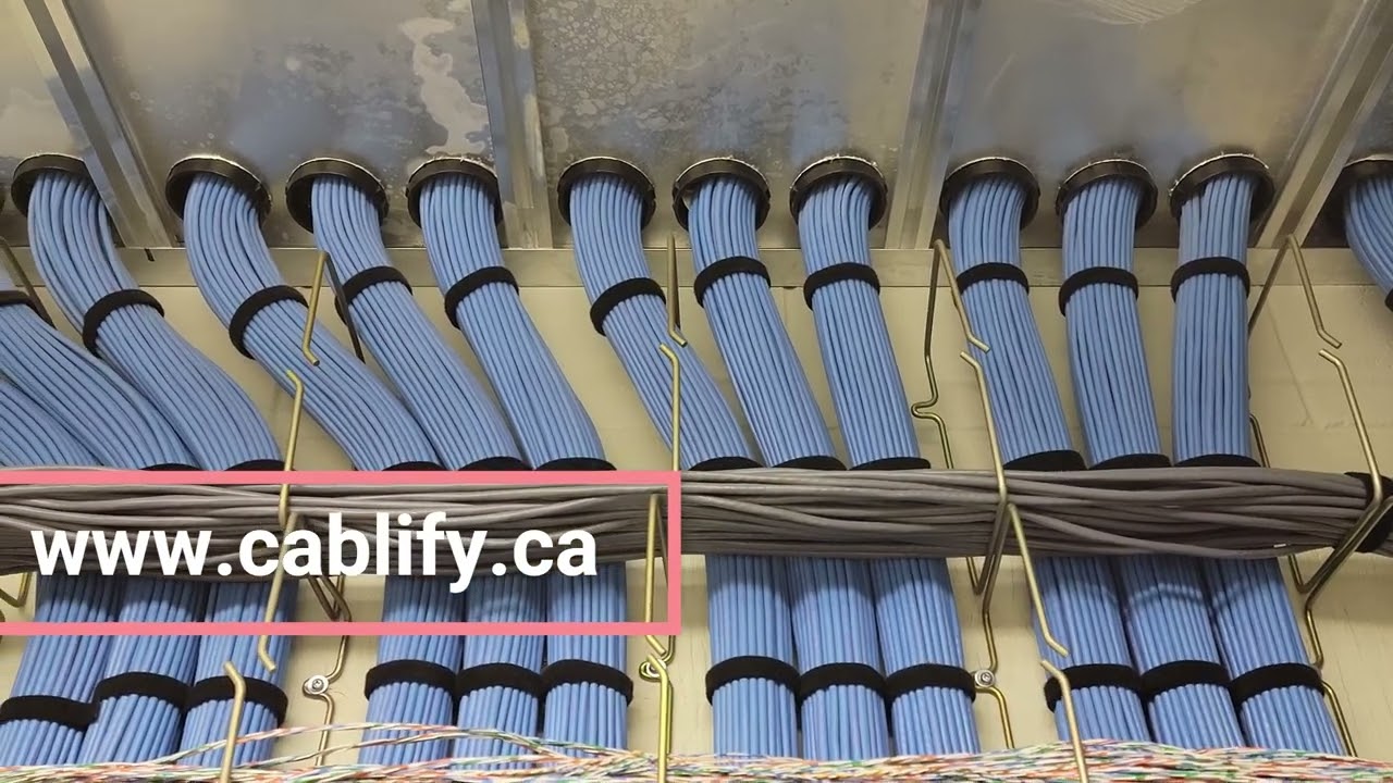 Cat6 Network cabling