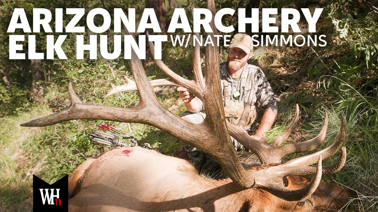 Archery Elk Hunting in Arizona with Nate Simmons - At Long Last