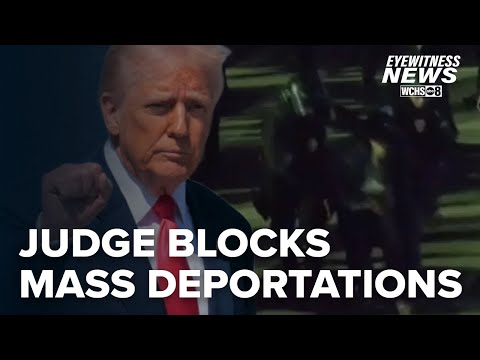 Should Venezuelan Tren De Aragua gang members be deported?