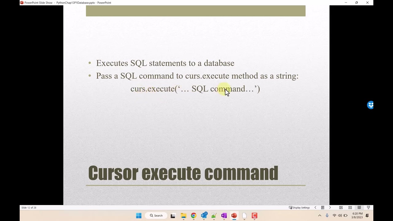 How to Execute a SQL Command With The Cursor