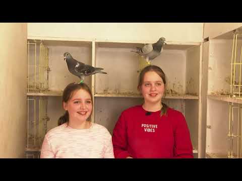 De Belgische Reisduif - Nieuw Talent - Kaat & Margot Bauters