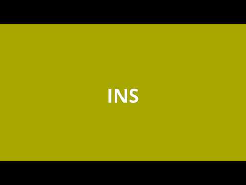 what is the meaning of INS