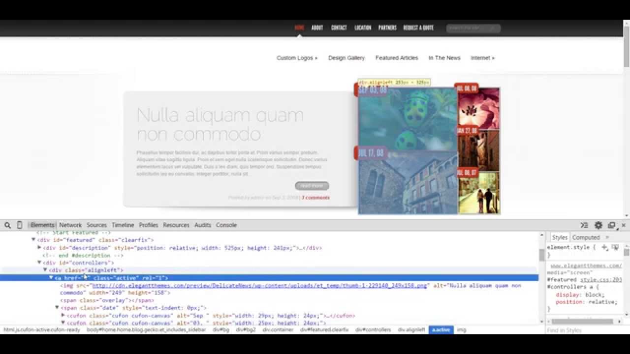 Examining Elegant Themes 