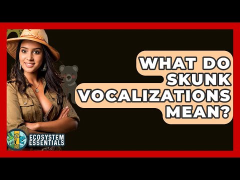 What Do Skunk Vocalizations Mean? - Ecosystem Essentials