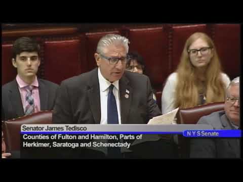Senator Tedisco comments on S.9074A