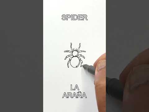 SPIDER . ARAÑA Learn Spanish! ¡Aprenda Inglés! #drawing #foreignlanguage #spanish #ingles