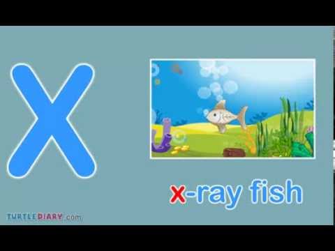 What Words Start With Letter X? *Words For Toddlers*