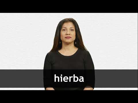 English Translation of “HIERBA” | Collins Spanish-English Dictionary