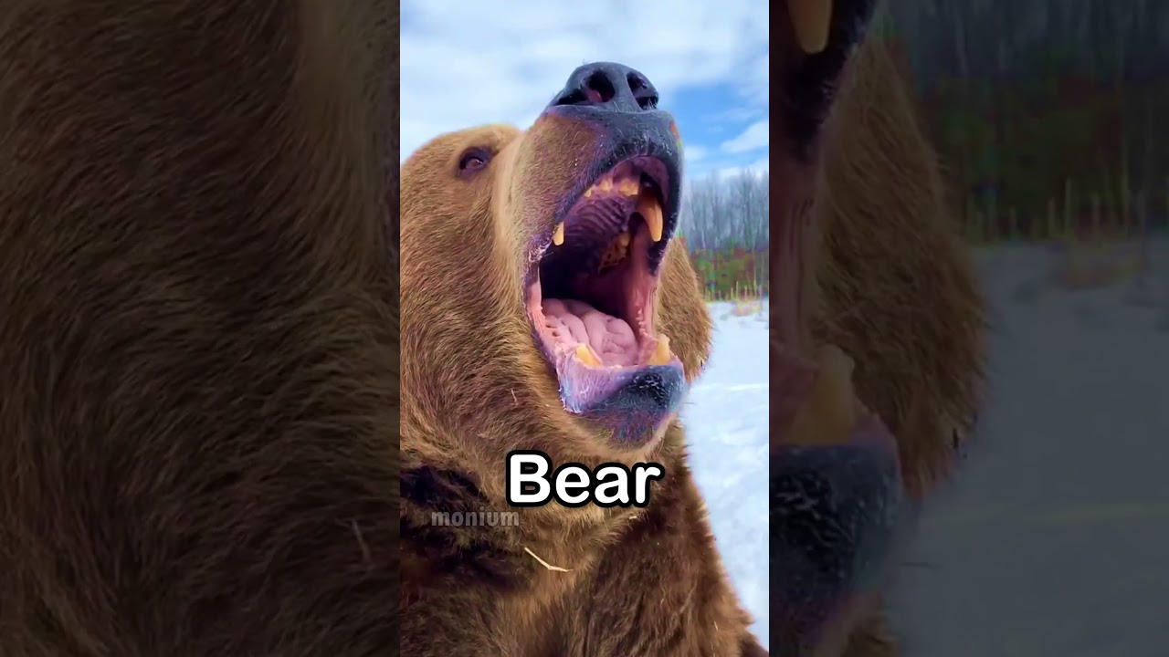 Which one would you choose?