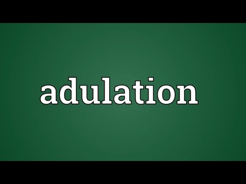 Adulation meaning #adulation