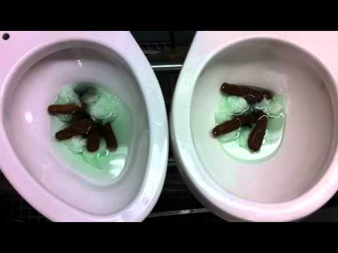 Toilet MaP Testing with soybean paste test media.mov