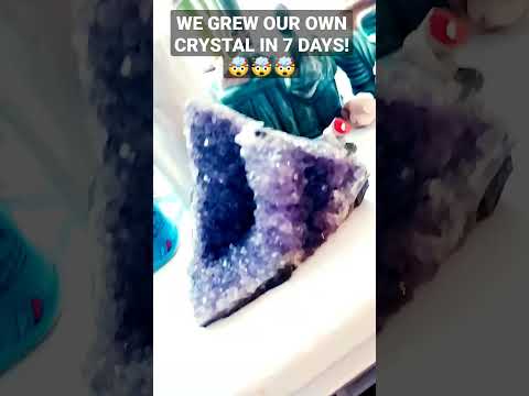 ????We grew our OWN crystal with the National Geographic Mega Science Lab!✨An activity for the FAMILY❤️