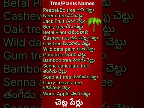 🌴 Tree Names In English to Telugu 🌴