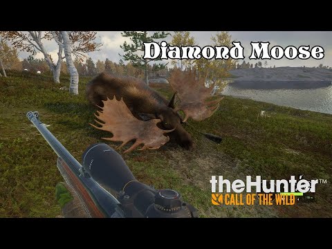 Steam Community :: Video :: Diamond Moose (theHunter: Call of the Wild)