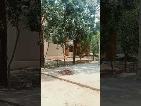 SCD Government College for Boys,Ludhiana,Punjab
