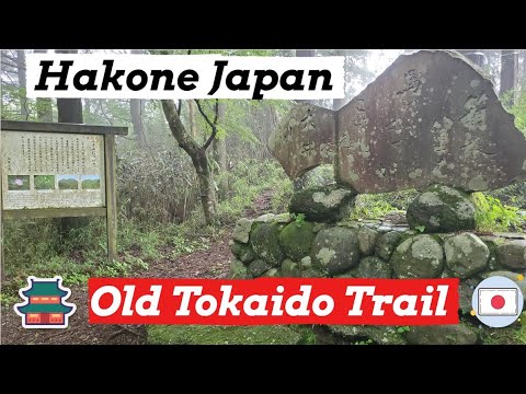 Exploring the Enchanting Ancient Tokaido Road Trail (東海道) in Hakone, Japan