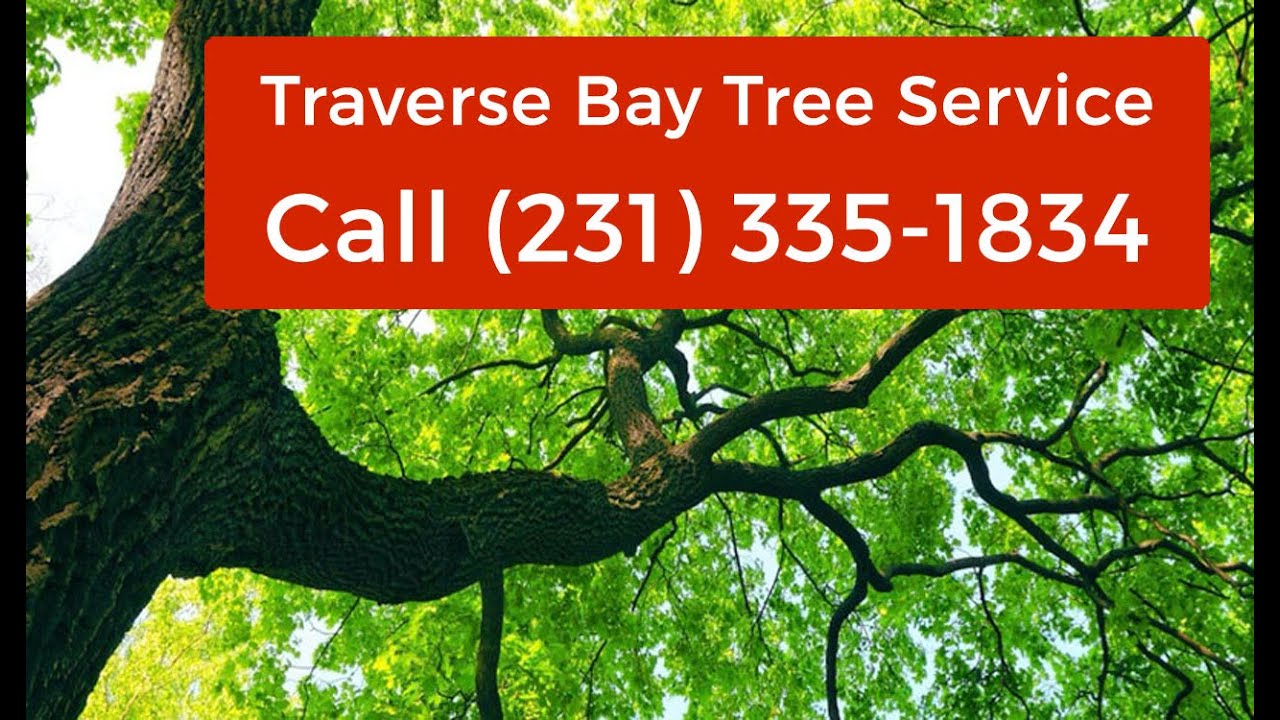 Tree Service Traverse City MI - (231) 335-1834 | Traverse Bay Tree Services