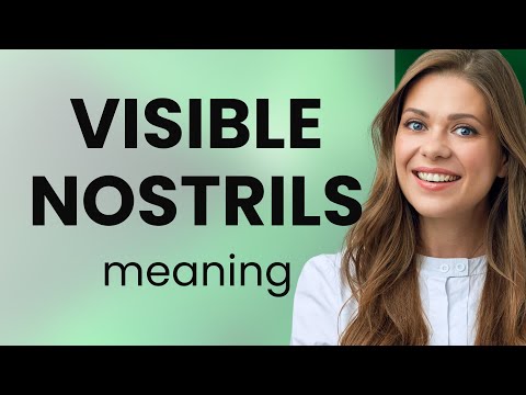 Understanding "Visible Nostrils": An English Phrase Explained