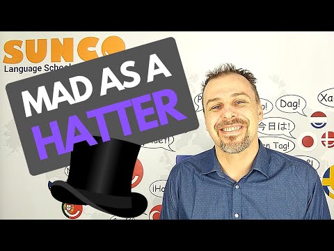 idioms 101 - mad as a hatter