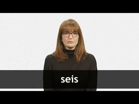 English Translation of “SEIS” | Collins Spanish-English Dictionary