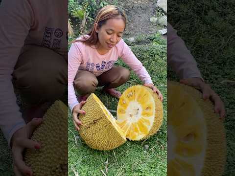 Keunggulan Nangka Madu #nangkamadu