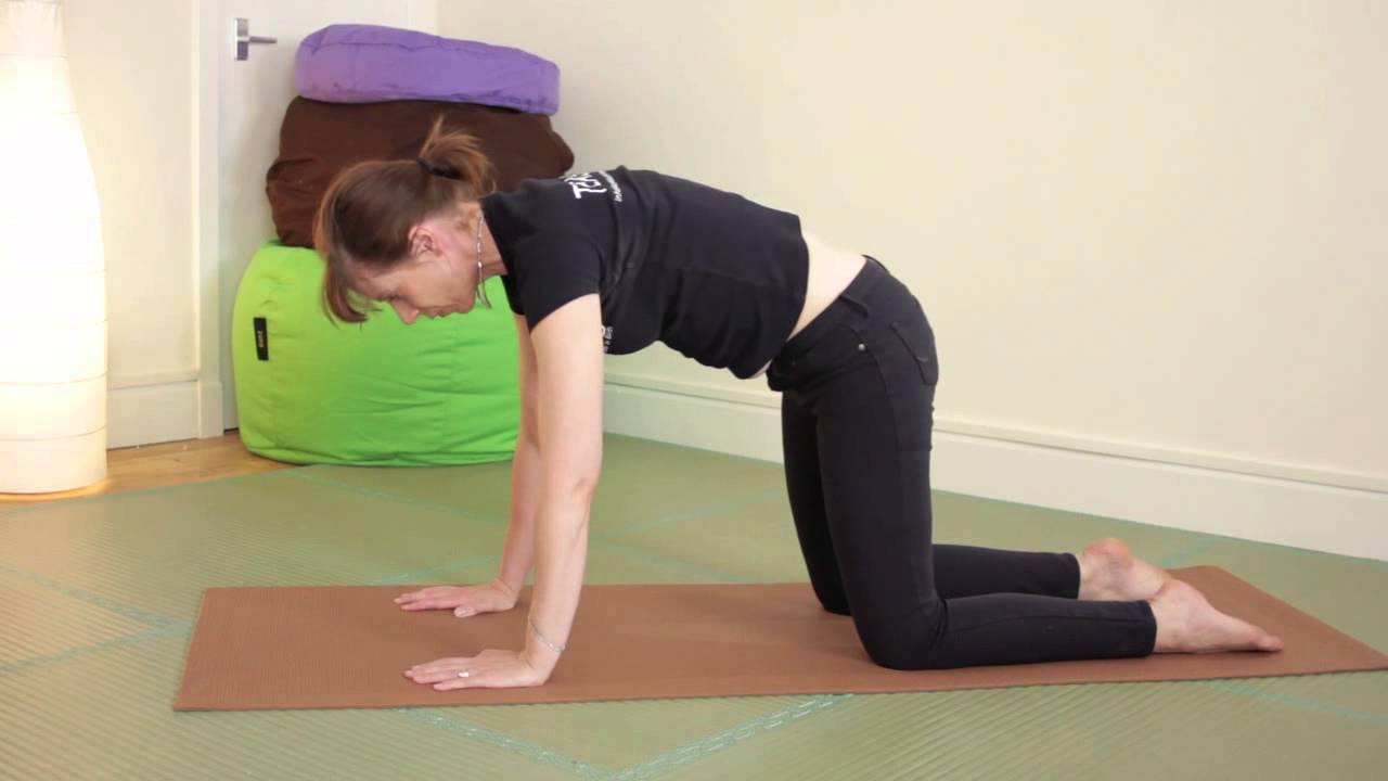 Demonstration Example (Training Video)