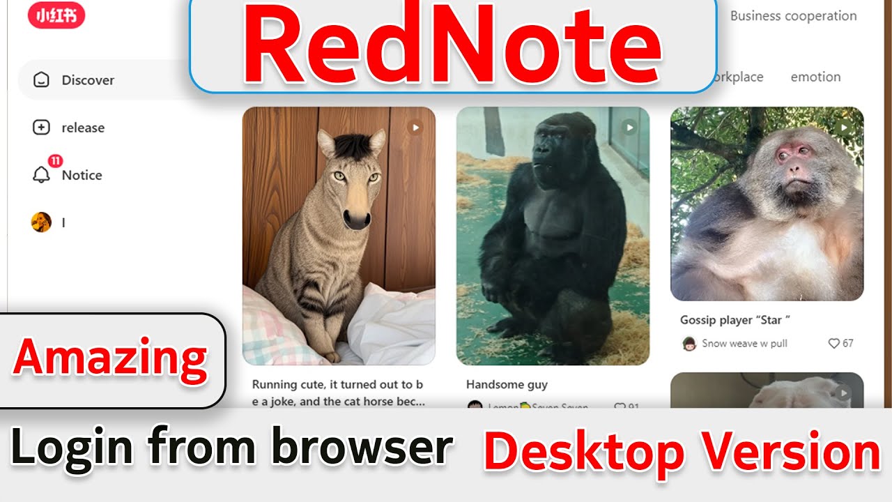 How to open Rednote app account on my laptop computer Rednote  xiaohongshu official Website login