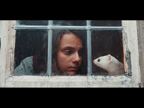 ❛ Dæmons ❜ | His Dark Materials