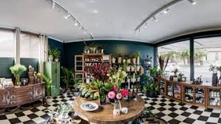 3 Best Florists in Launceston, TAS - Expert Recommendations