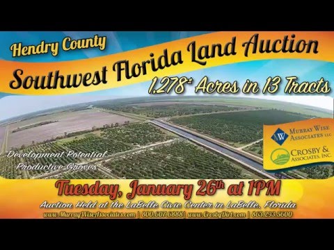 Hendry County Auction