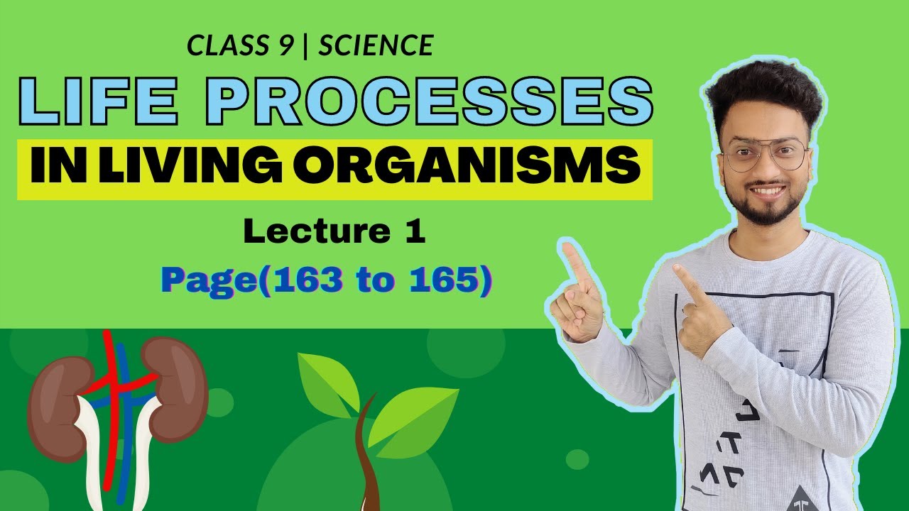 Understanding Life Processes in Living Organisms: Transportation and Transpiration | Galaxy.ai