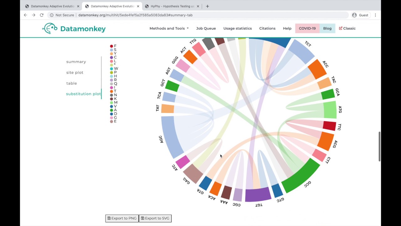 How to Use MultiHit on DataMonkey