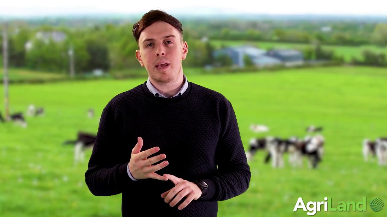 Calf Health and Management Series: Introduction